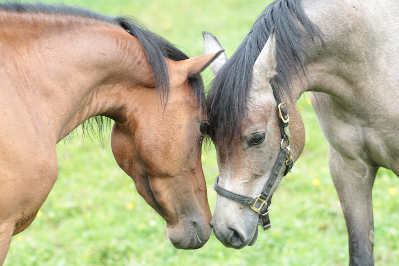 Specials Neu - Christina Moser